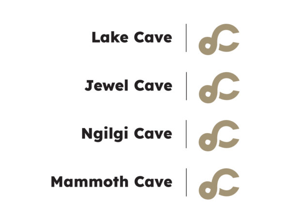 Capes Foundation - thebox